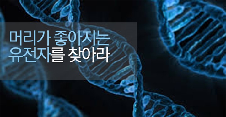 머리가 좋아지는 유전자는 어떤 것일까 ㅍㅍㅅㅅ